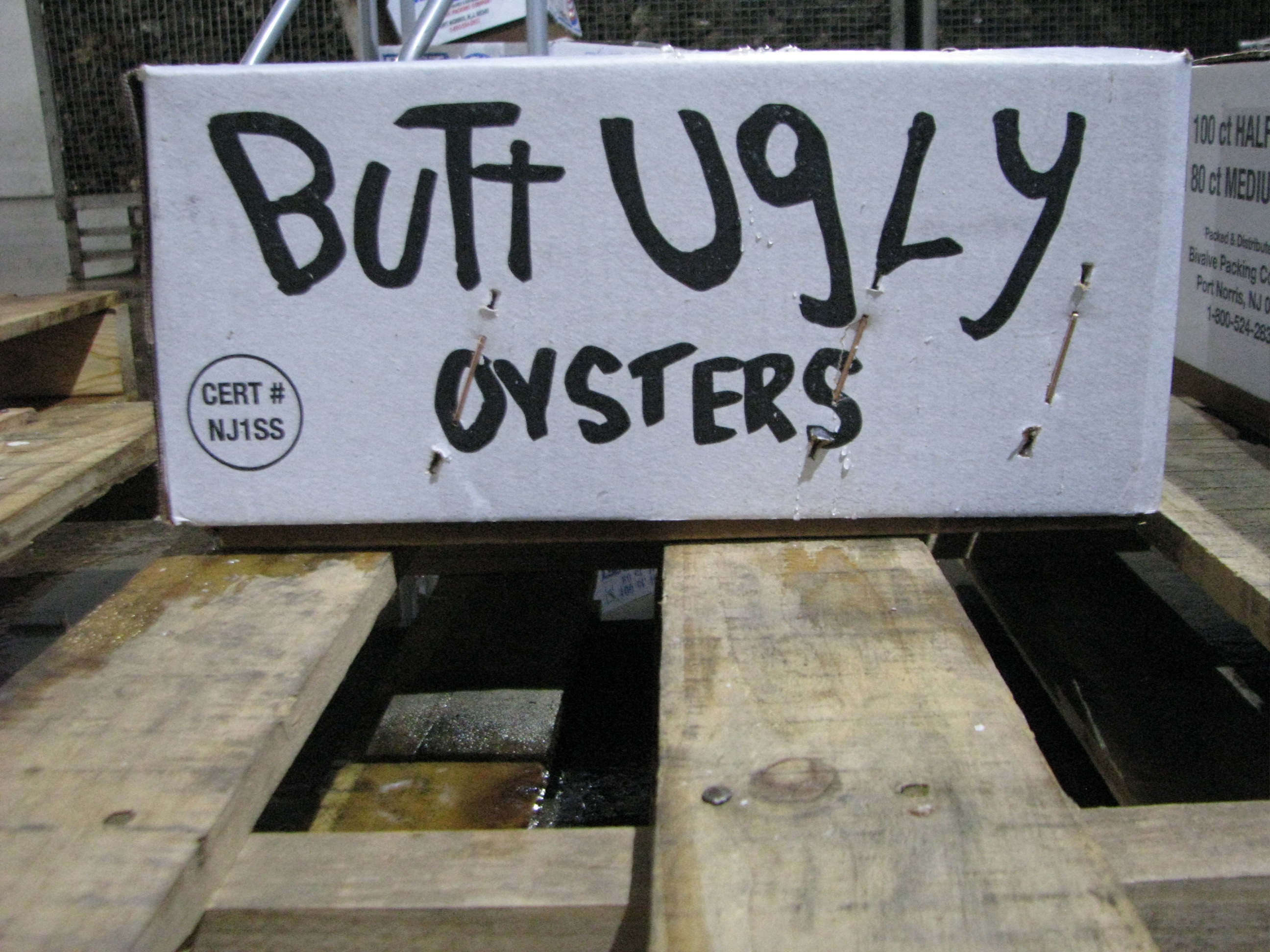 Our Oysters – Bivalve Packing Company